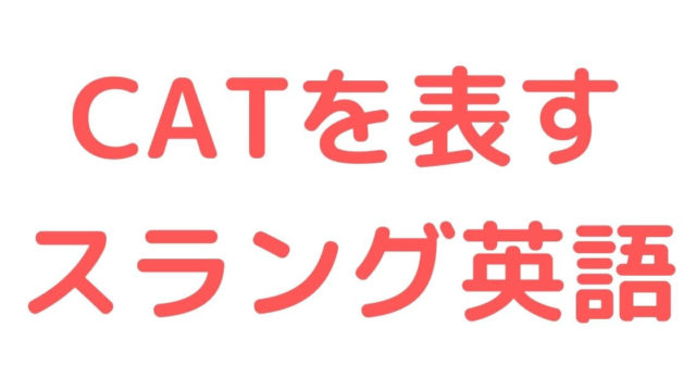 猫（cat）を表すスラング英語【ことわざ・慣用句や鳴き声は？】