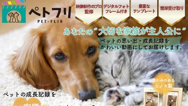 ペトフリ（PETFLIX）の口コミ・評判｜ペットとの思い出を可愛い動画にしよう！｜ねこうぇぶ